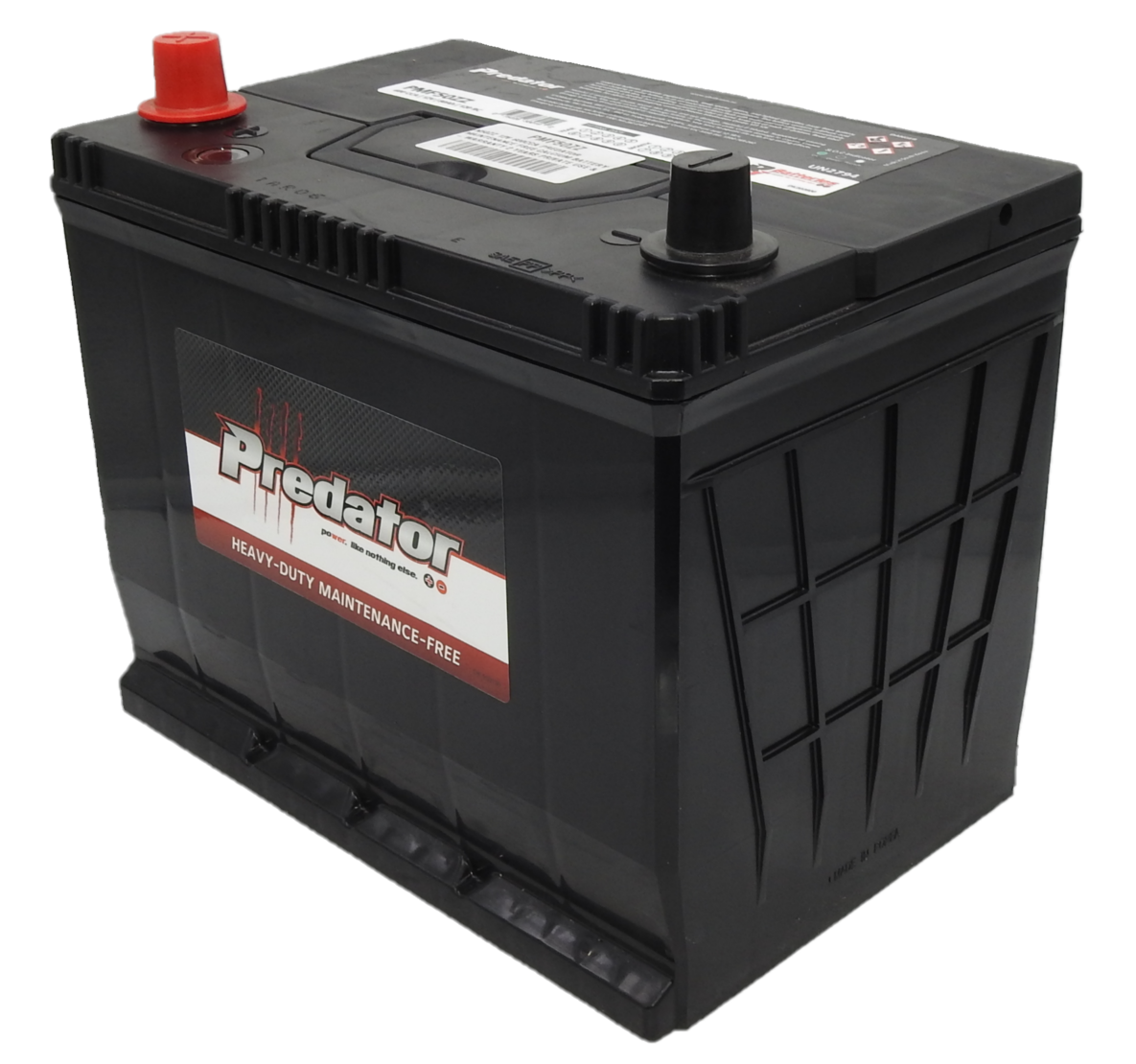 PMF50ZZ N50ZZ - 12VOLT 600CCA PREDATOR MAINTENANCE FREE CALCIUM BATTERY ...
