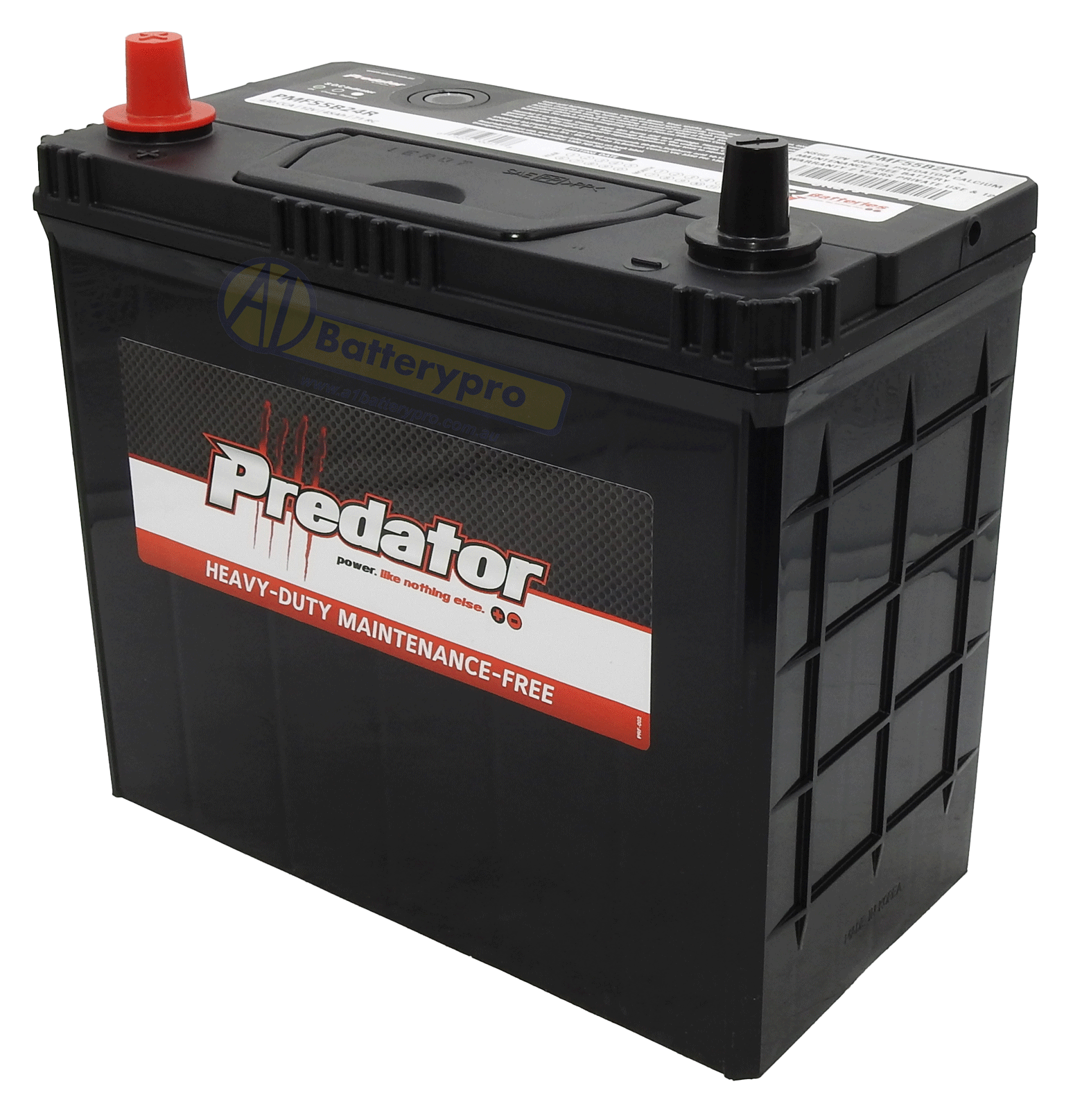 PMF55B24R NS60 - 12VOLT 430CCA PREDATOR CALCIUM MAINTENANCE FREE ...