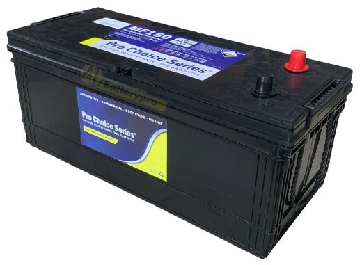 MF150 MF150 - 12VOLT 1000CCA PRO CHOICE SERIES MAINTENANCE FREE CALCIUM BATTERY - RHP - A1 ...
